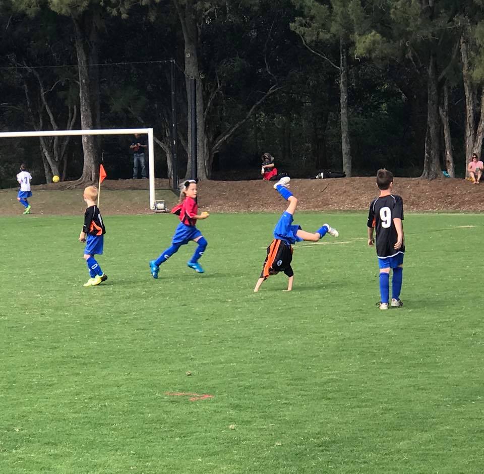Hurlstone Park Wanderers FC | Community Football Club
